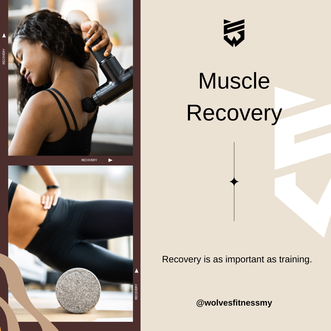 Beginner's Fitness Guide