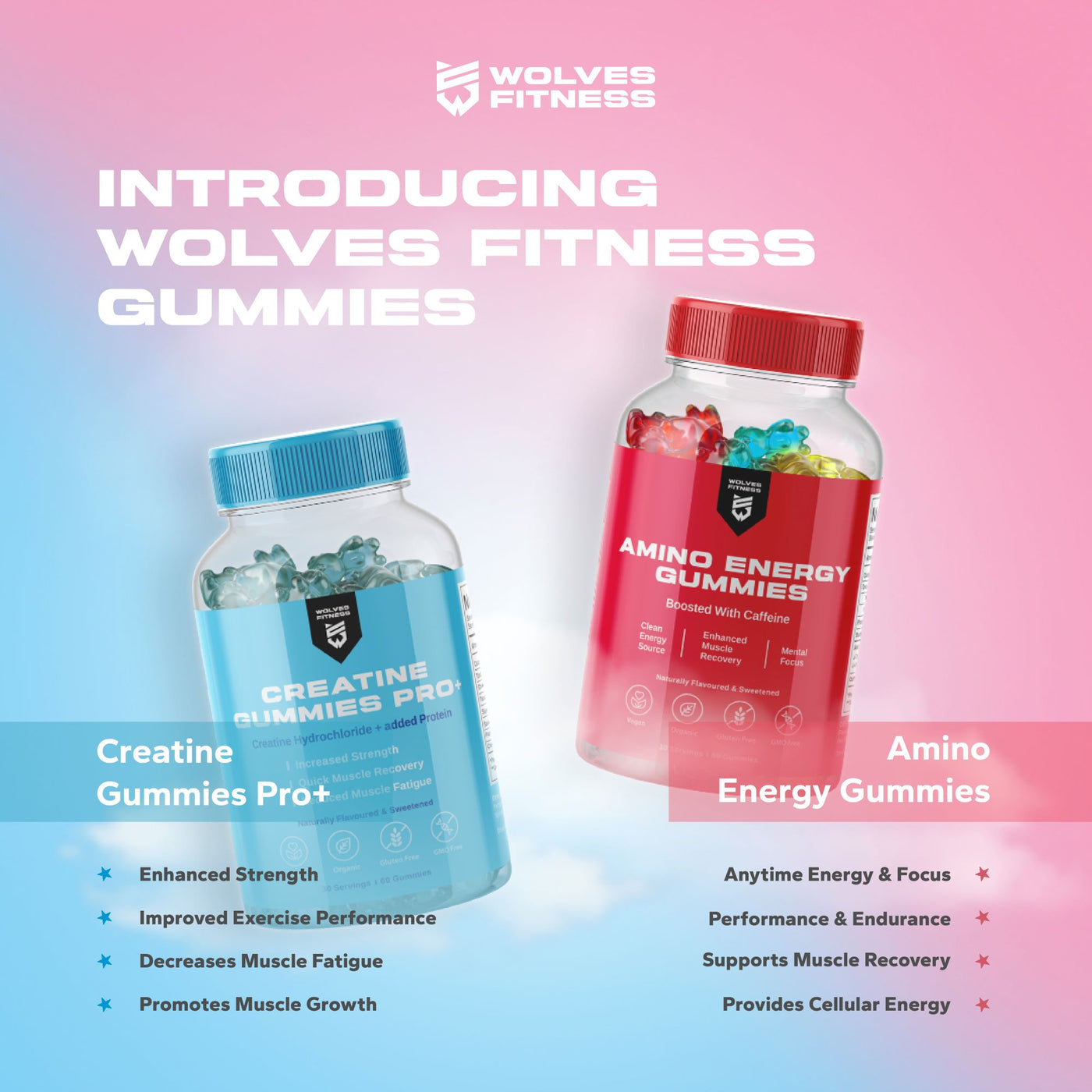 Home | Wolves Fitness | Promoting Health Conscious Habits.